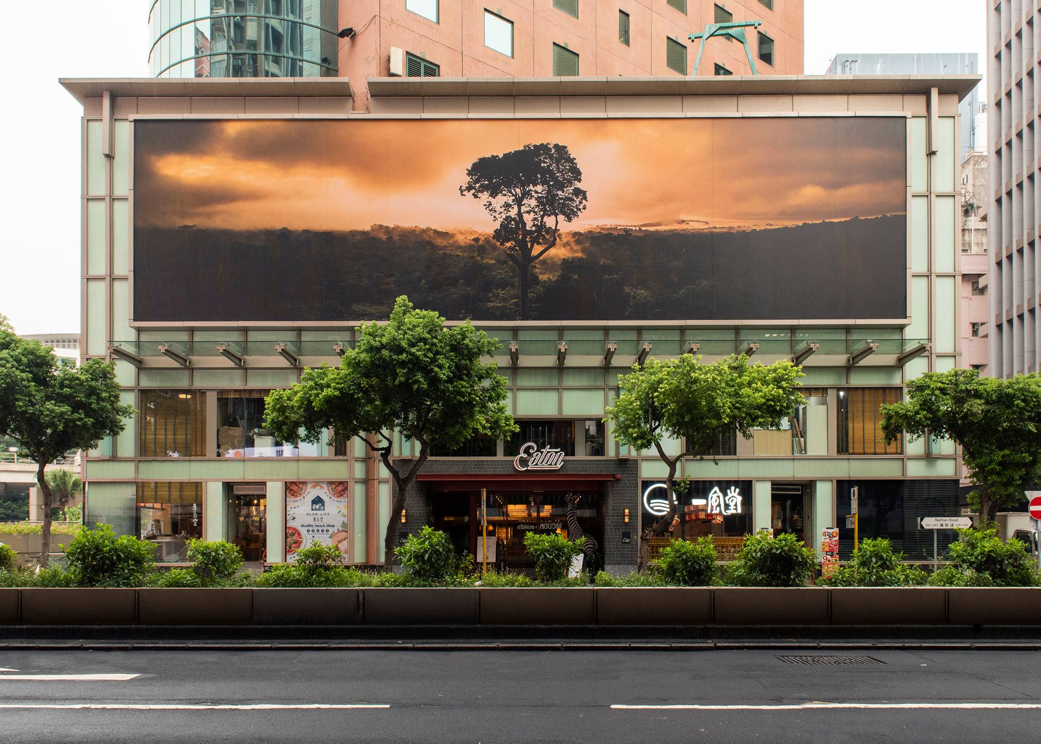 Eaton Hotel 1 – Flight Attendant Story of Exploration in Travel & Life